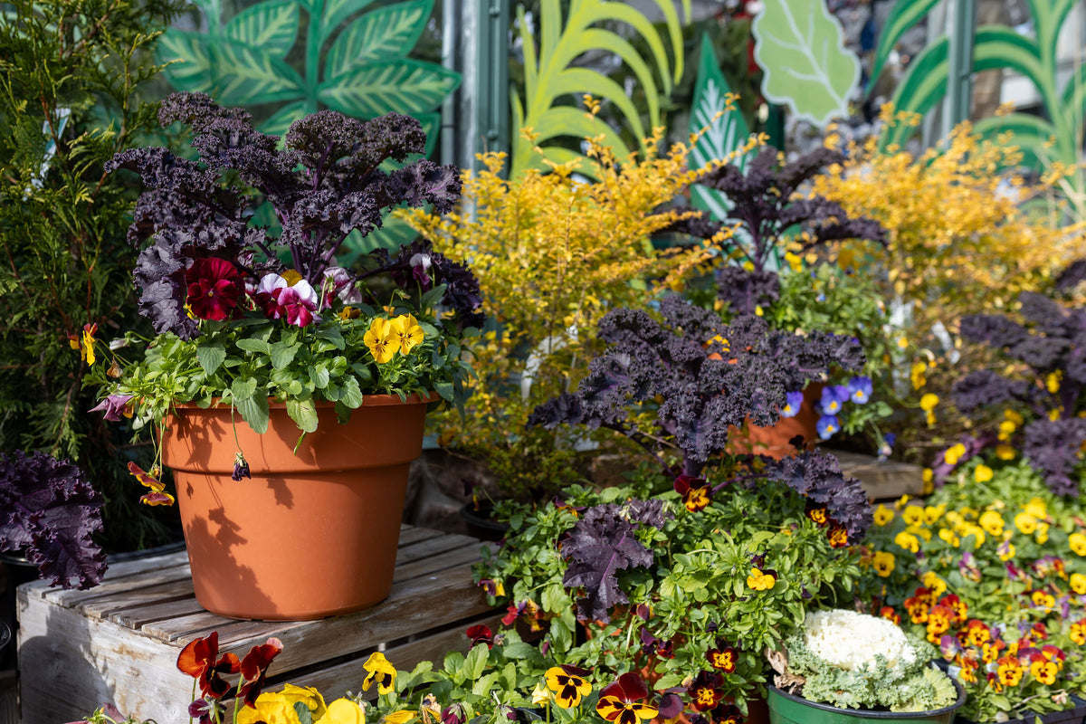 FOOP Nutes Bloom 2 SDS