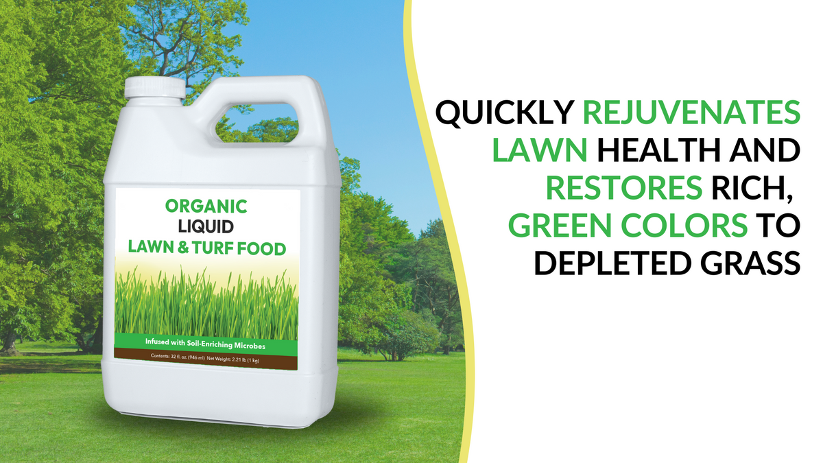 Learn More About Organic Liquid Lawn & Turf Food