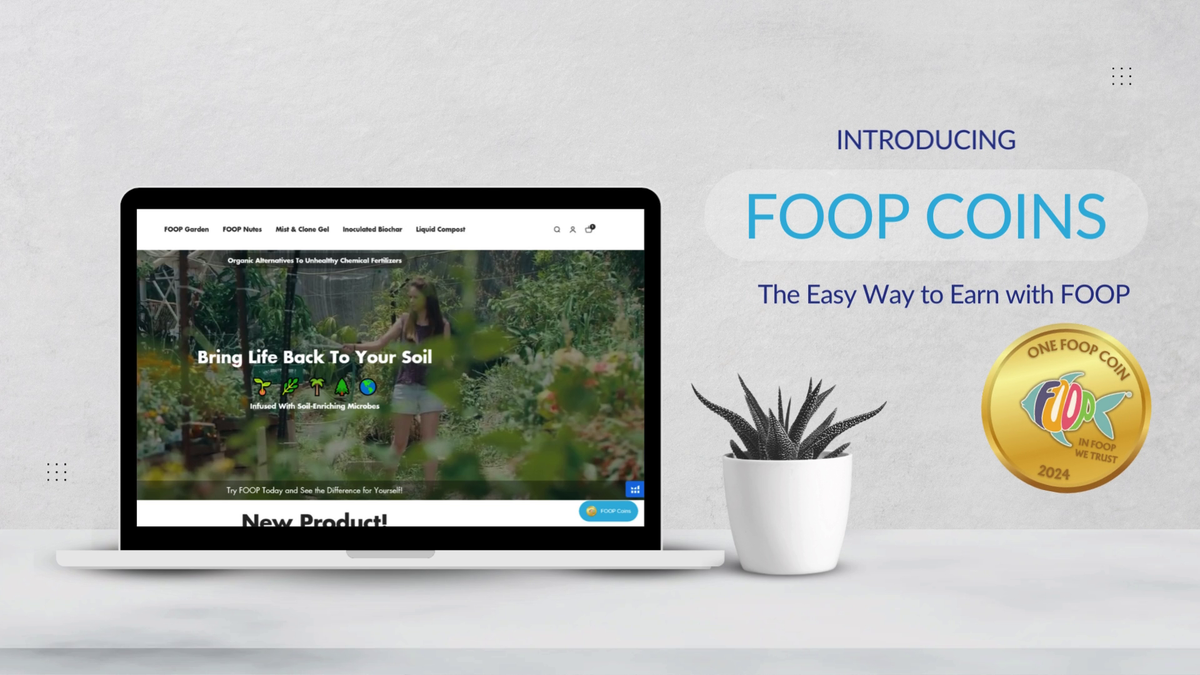 FOOP Coins - The FOOP Loyalty Program