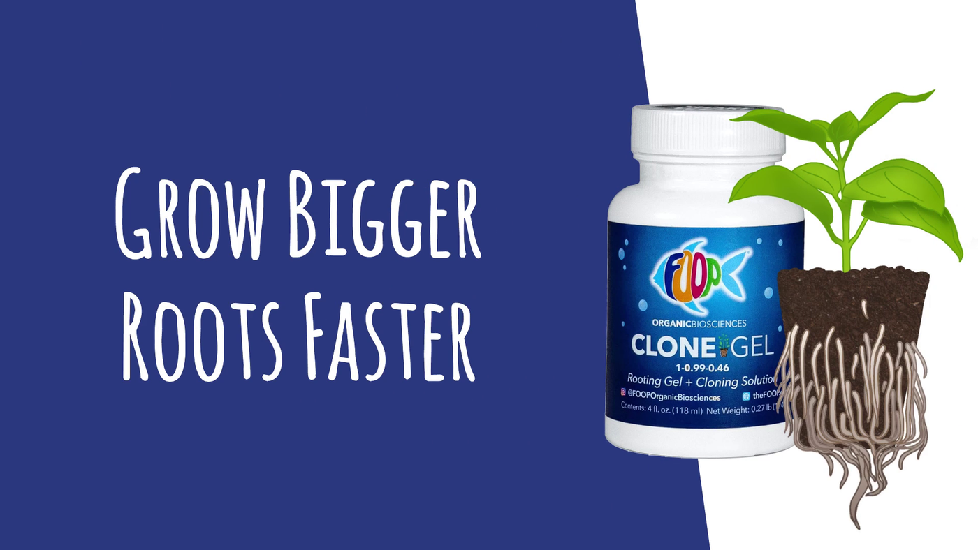 Learn More about FOOP Mist & Clone Gel